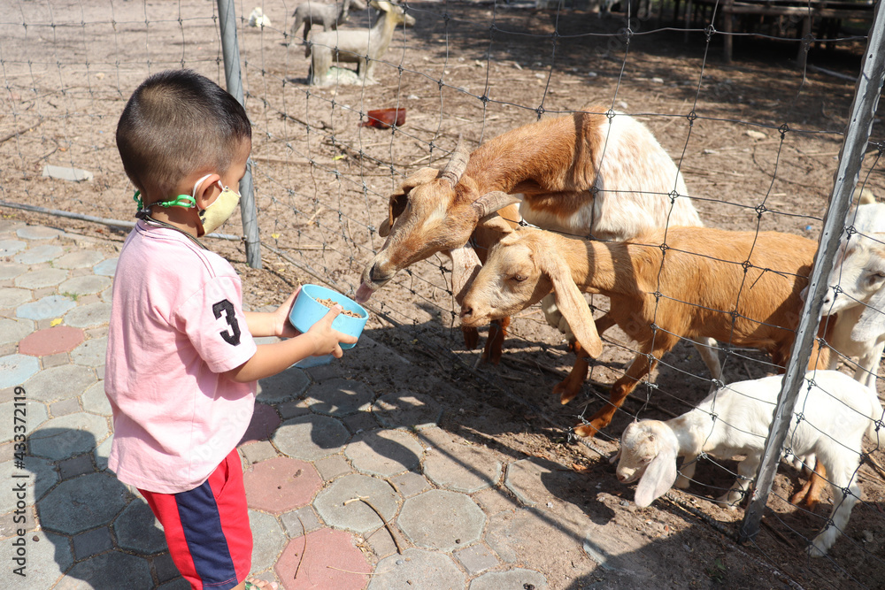 Foto de Cute black short hair Asian boy doing mammal life learning ...