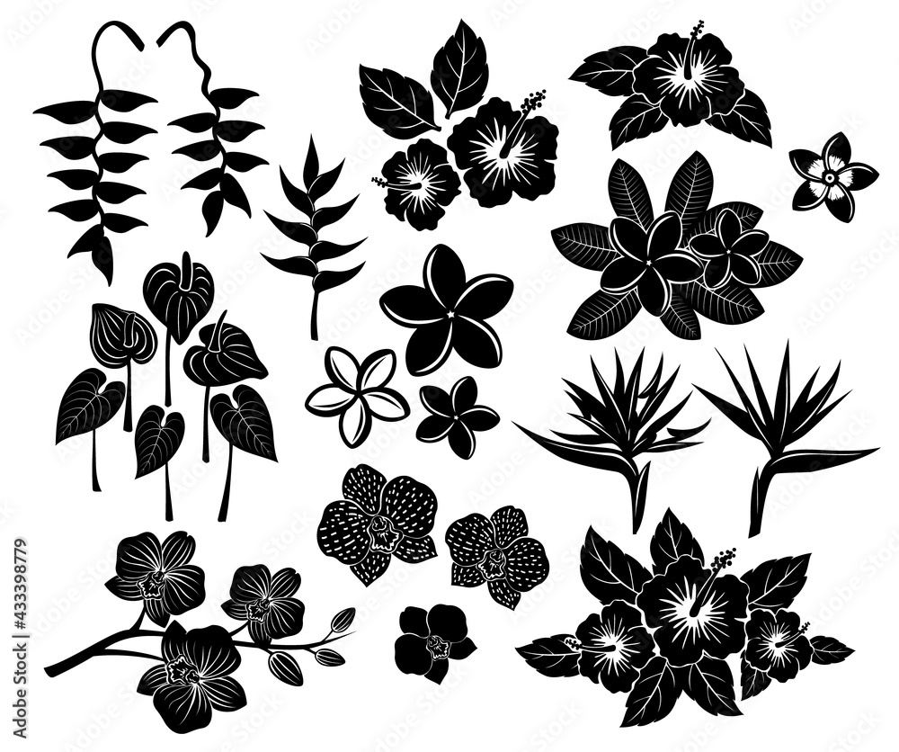 Tropical exotic flowers silhouette set with frangipani, bird of ...