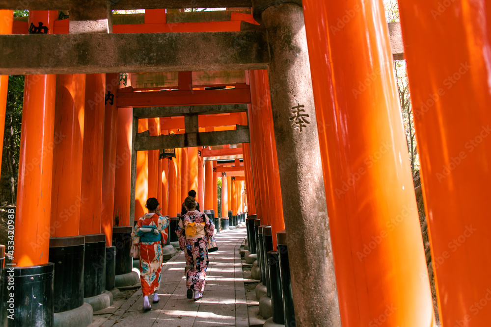 The Senbon Torii (233 meters thousands of vermilion torii gates) of ...