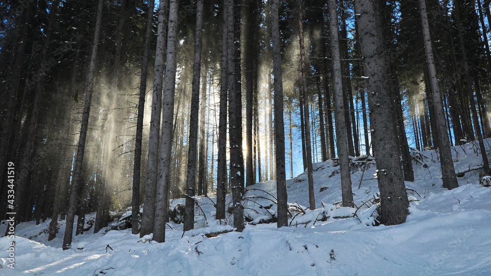 Sun rays reflecting through powder snow creating a light effect in the ...