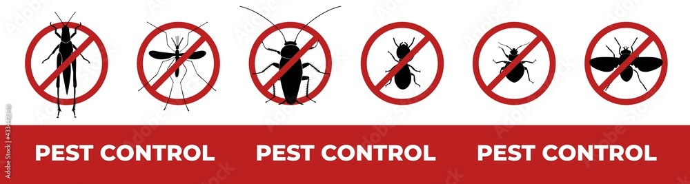 Pest control web banner design. Minimal graphic illustration with red ...
