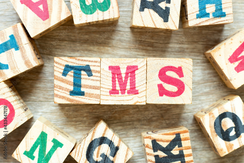 Alphabet letter block in word TMS (Abbreviation of Transportation ...