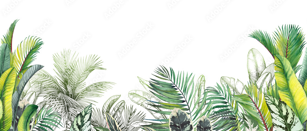 Seamless tropical border with green palm leaves and trees. Stock ...