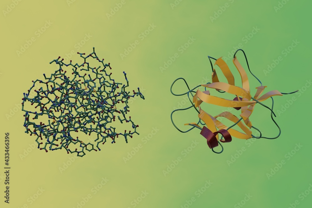 Human interleukin 1 beta, also known as leukocytic pyrogen or ...