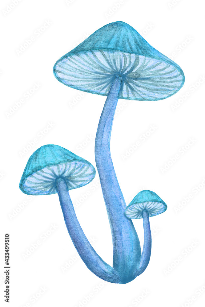 Blue Mushroom Clip Art