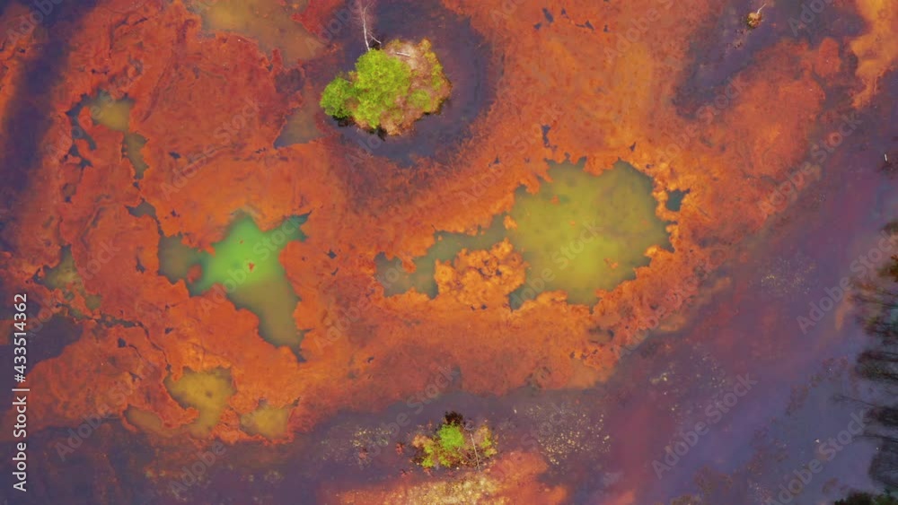 Beautiful toxic lake is located next to green trees. Industrial plant ...