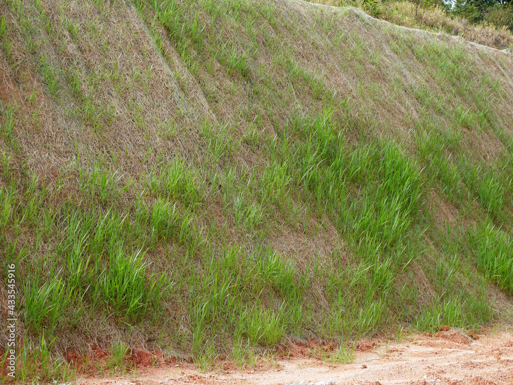 Permanent slope protection with the natural grass using the hydroseed ...