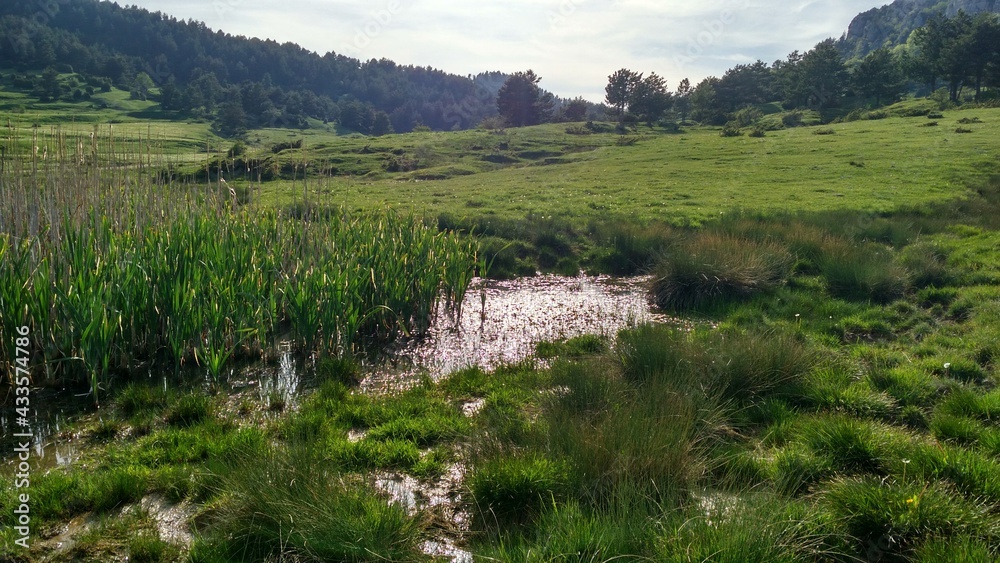 Foto de nostalgia, pueblo abandonado, peguera, barcelona, figols, ruina ...