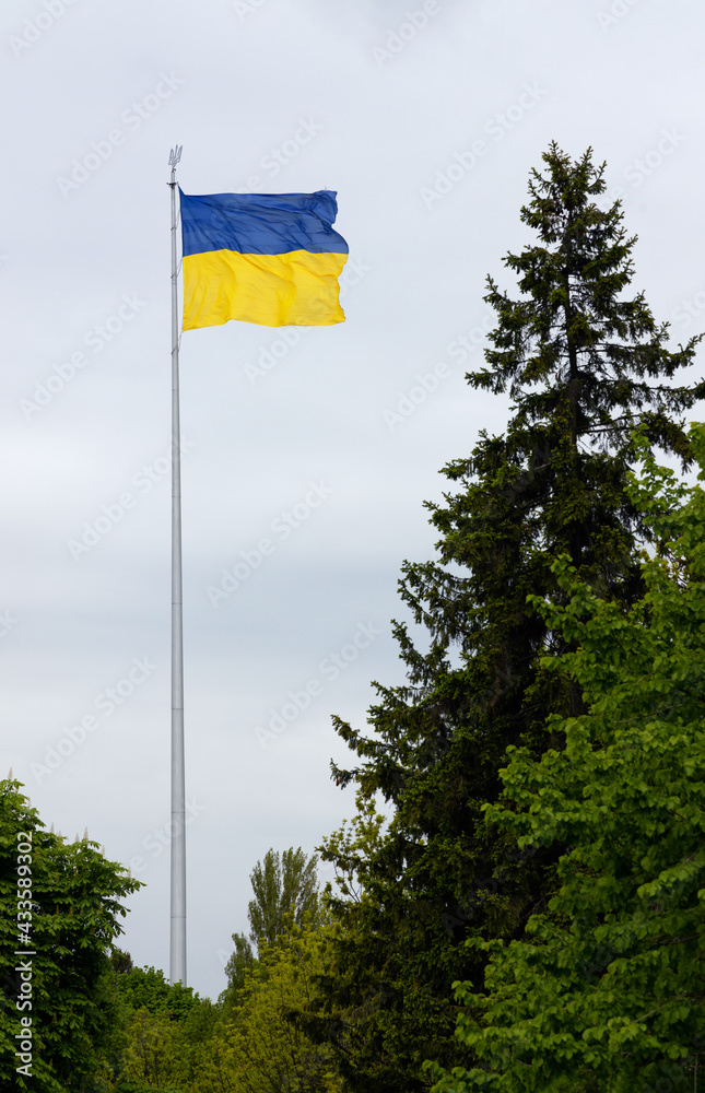Ukraine flag against the background of the sky and trees. Vertical ...