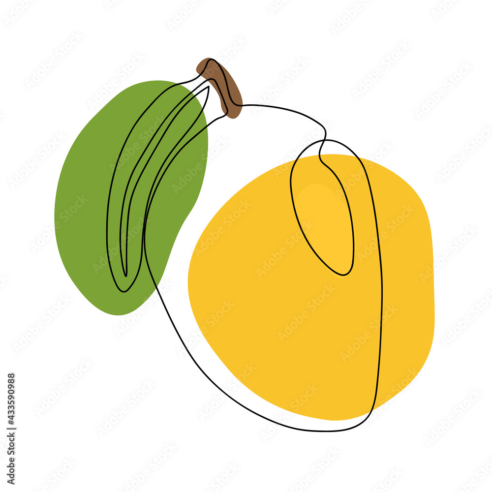 Continuous one line drawing mango. Vector illustration. Black line art ...