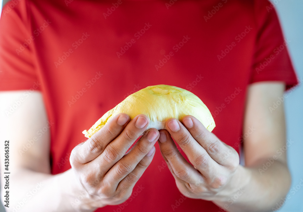 Close up A man handle durian show the yellow durian meat to eat. The ...