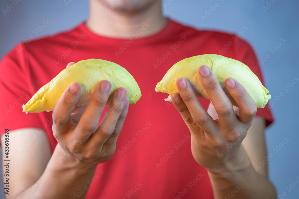 Close up A man handle durian show the yellow durian meat to eat. The ...