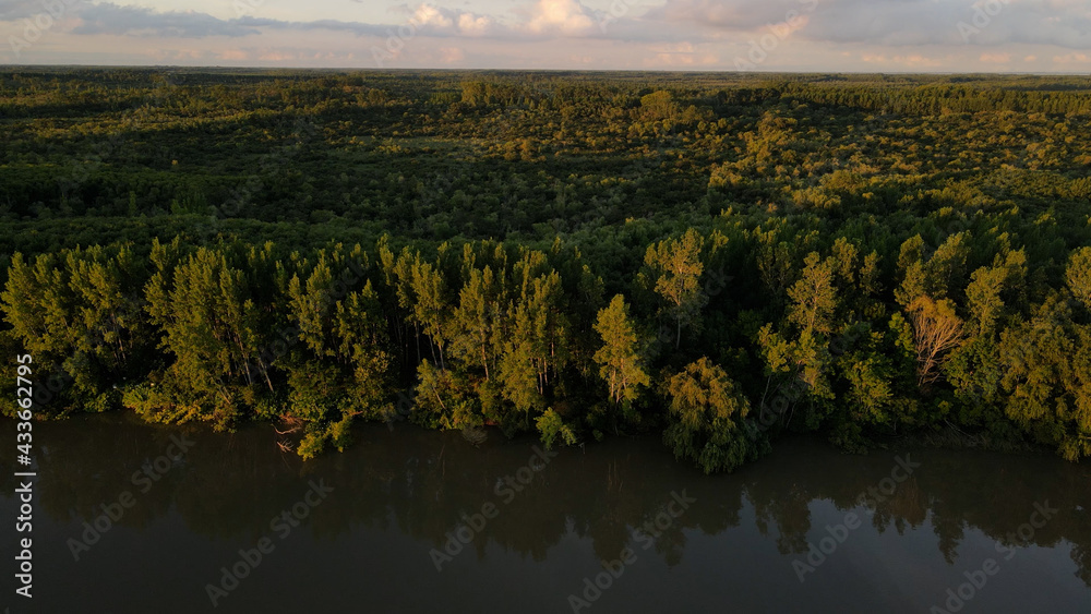 Beautiful aerial high shot of Amazon River and its green rainforest ...