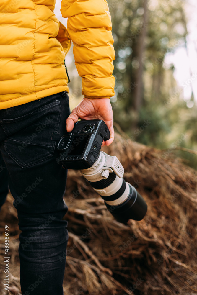 Rear view of an anonymous photographer holding his camera in the ...