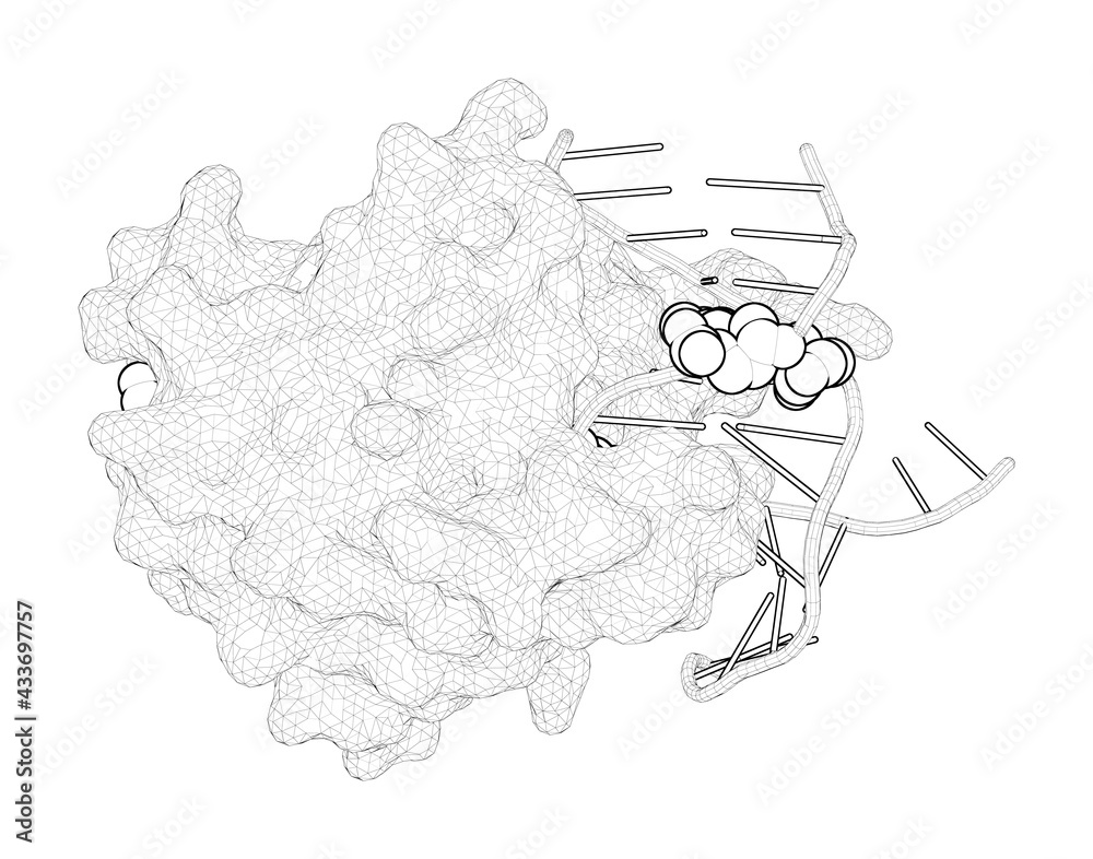 3D rendering as a line drawing of a molecule. Structure determination ...