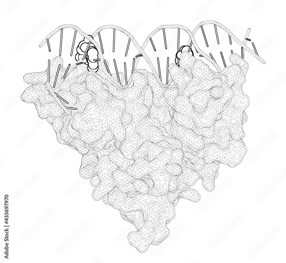 3D rendering as a line drawing of a molecule. Structural insights into ...
