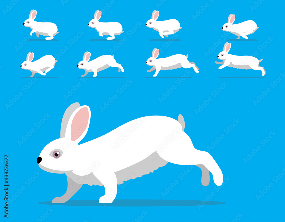Animal Animation Sequence Rabbit Florida White Cartoon Vector Stock ...