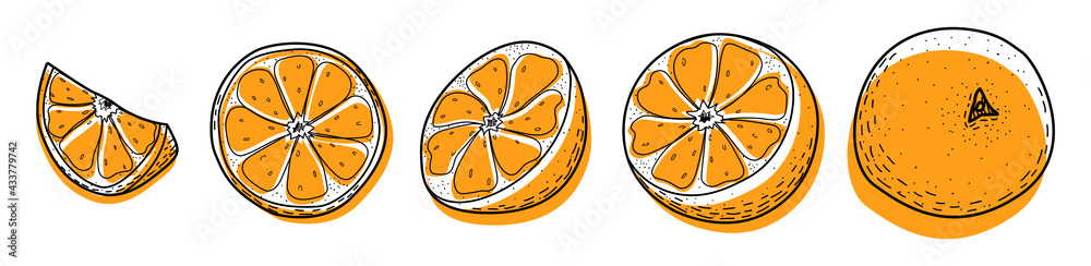 Orange fruit set. Stylish set of abstract oranges: whole, half, slice ...