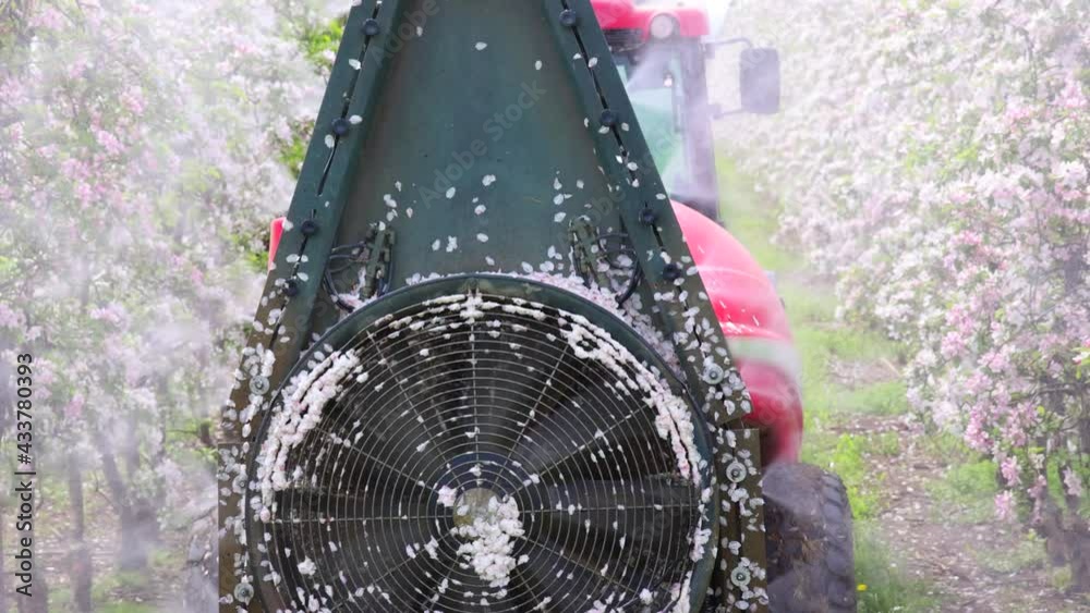 Spraying flowering apple orchard to protect against disease and insects. Apple flowering tree ...