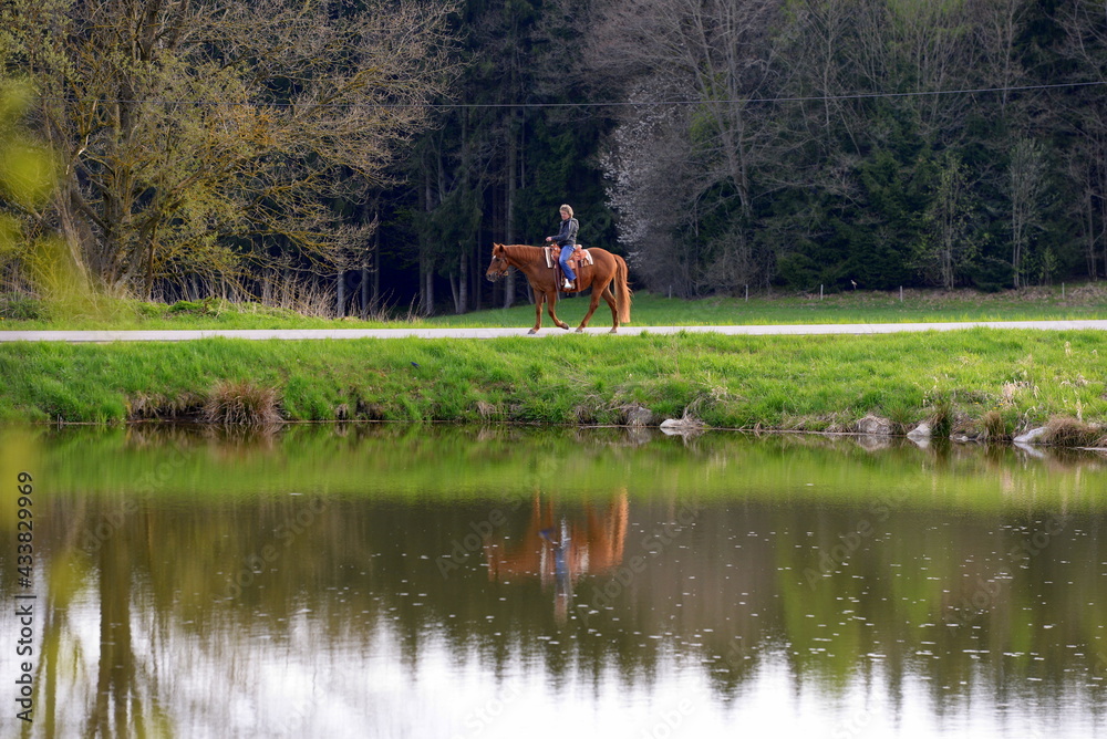 Ride on a wildeside. Frau auf Westernpferd im Abendlicht Stock Photo ...