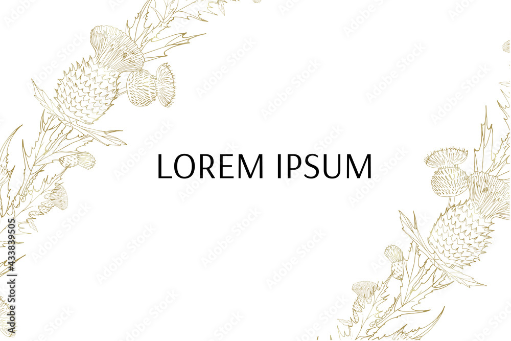 Thistle. Botanical design. Modern Front Page in Vector. Summer vector ...