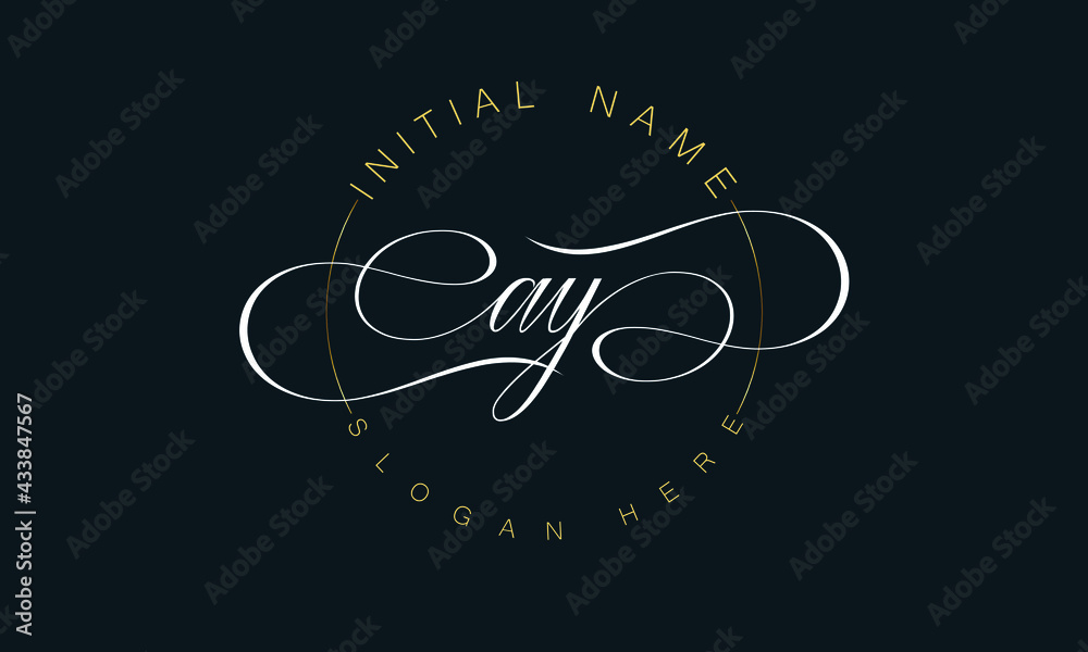 AY/YA cursive letter stylish luxury logo in golden and white color, AY ...