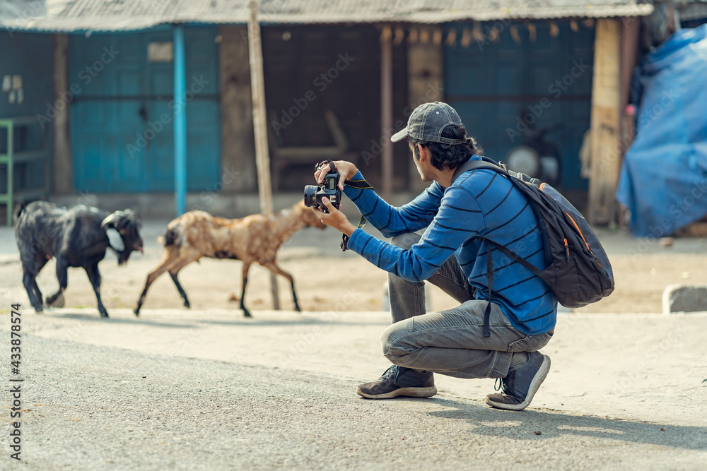 Young photographer taking pictures of animals on the streets of India ...