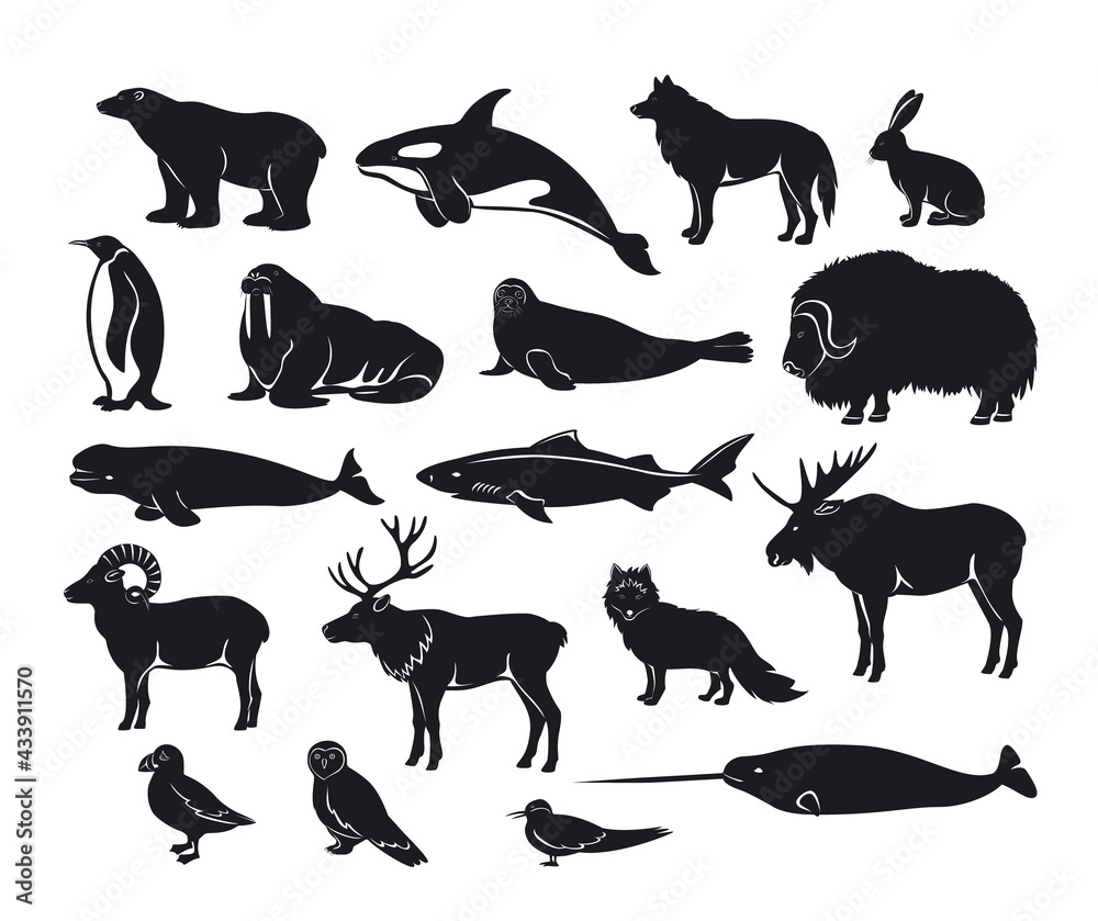 Arctic animals Silhouette collection with reindeer, orca, narwhal ...