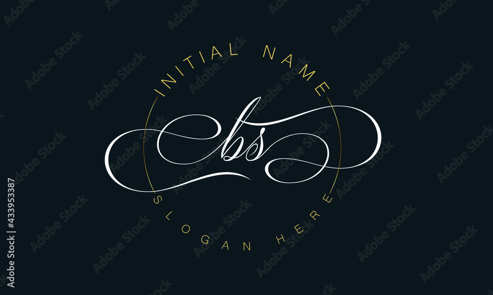 Vecteur Stock BS/SB cursive letter stylish luxury logo in golden and ...
