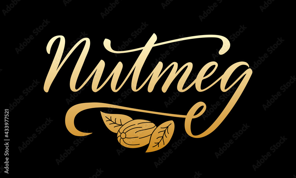 Vector illustration of nutmeg lettering for packages, product design ...