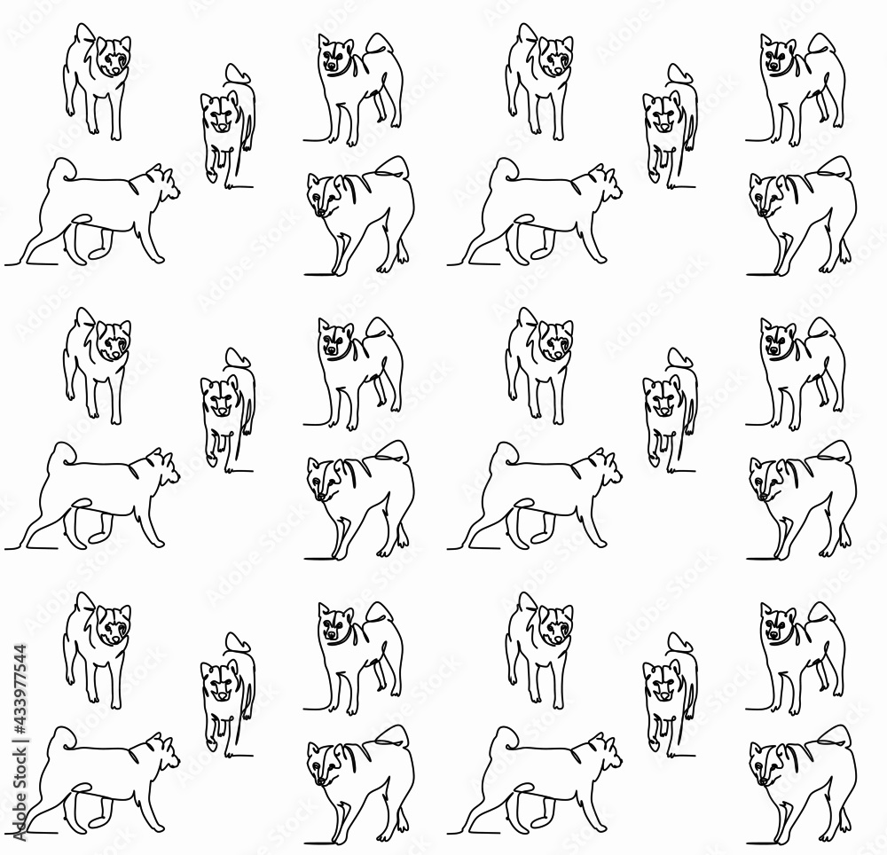 set continuous drawing of a single line of the Japanese Shikoku dog ...