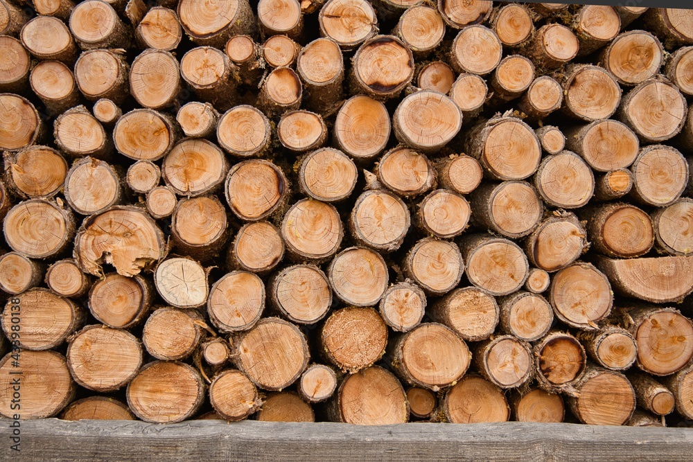 Foto de Legni per legna impilati da ardere in trentino do Stock | Adobe ...