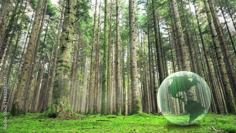 Looping animation green ecology environment woods with earth globe ...