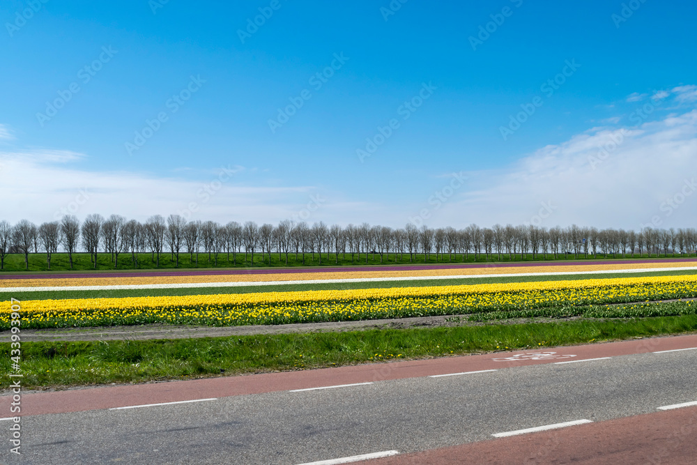 Rural road with colored asphalt and road markings for the bike route on ...