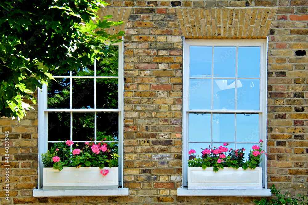 Tinted and non-tinted glass with window boxes, Camberwell, South London ...