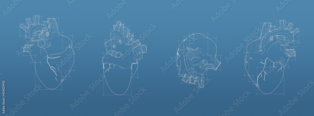 Heart 3d blueprint mesh model on a blue background. Front view ...