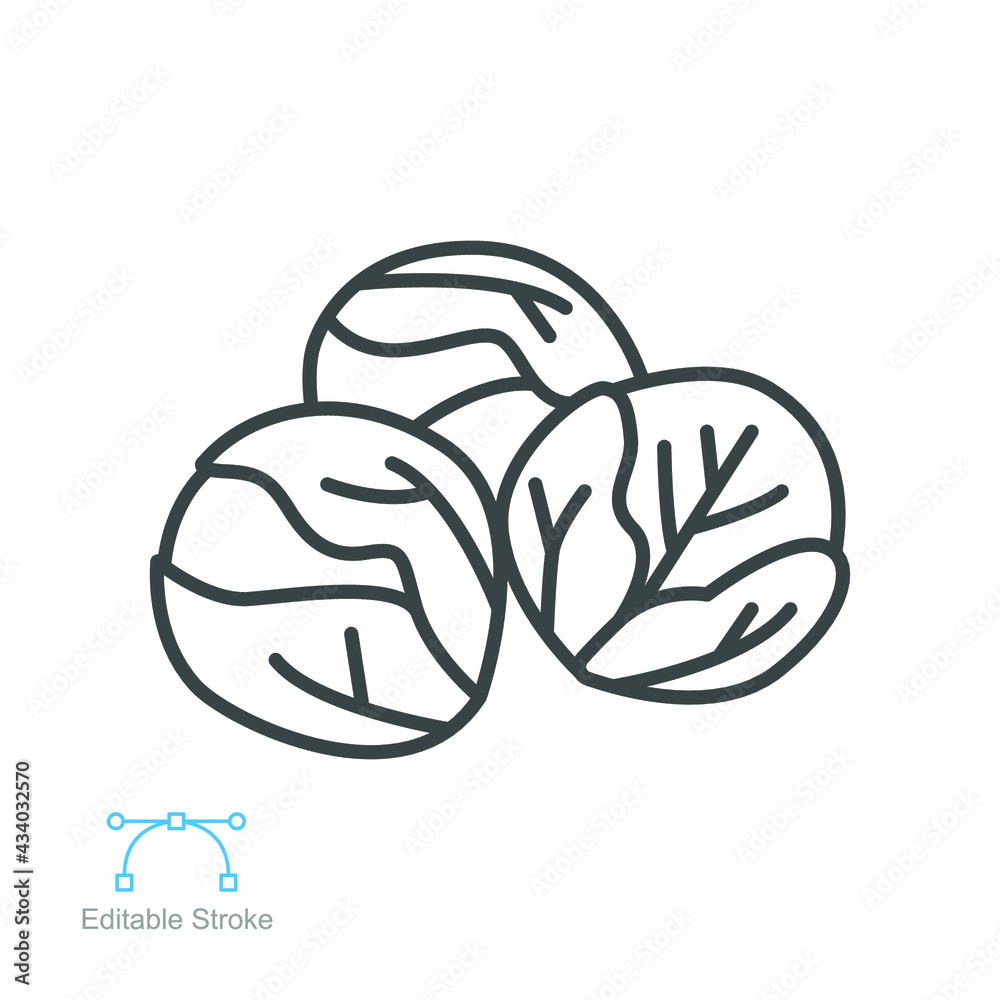 Brussels sprouts icon. Green Leaf vegetable. Cabbage nature food veggie ...
