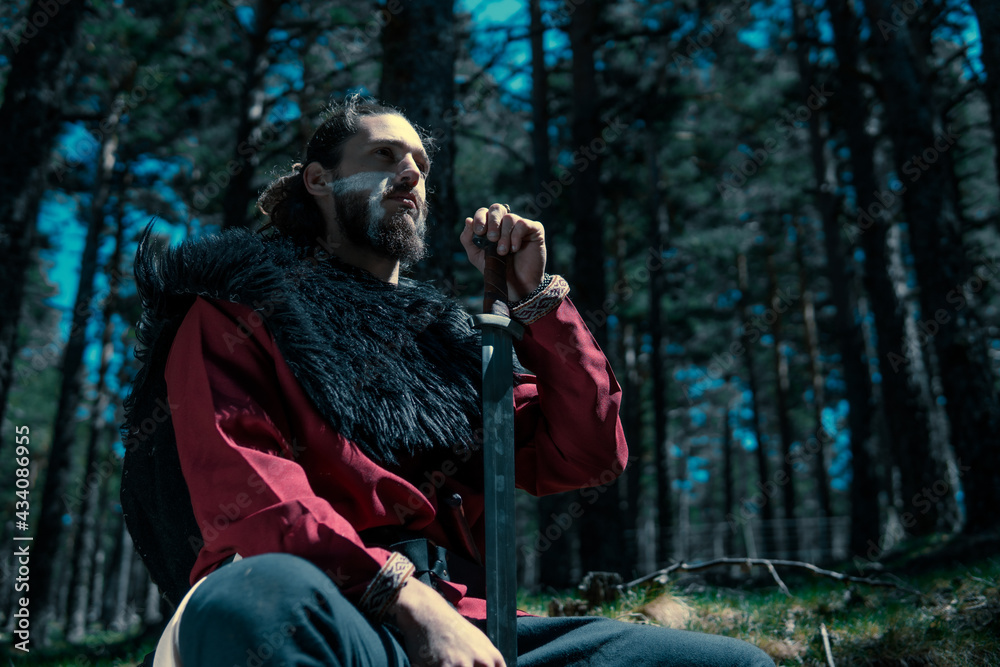 Viking with long beard and sword slung over his shoulder Stock Photo ...