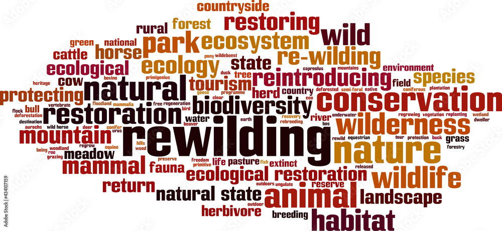 Rewilding word cloud Stock Vector | Adobe Stock