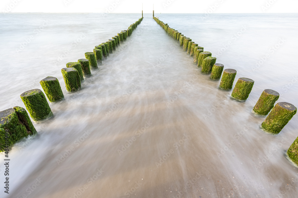 Pile heads in the north sea at Vlissingen, Holland, used as groynes ...