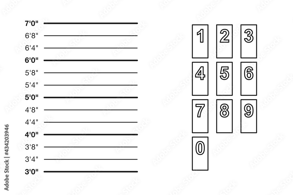Police height chart with suspect numbers in vector set Stock Vector ...