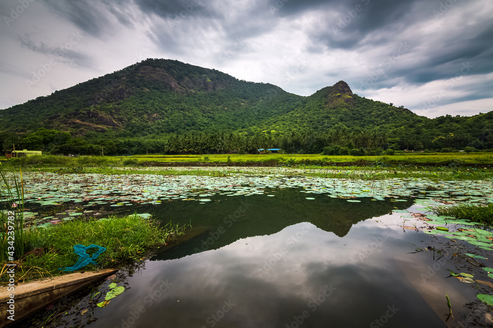 agriculture, agriculture field, asia, asian, beautiful, blue, clouds ...