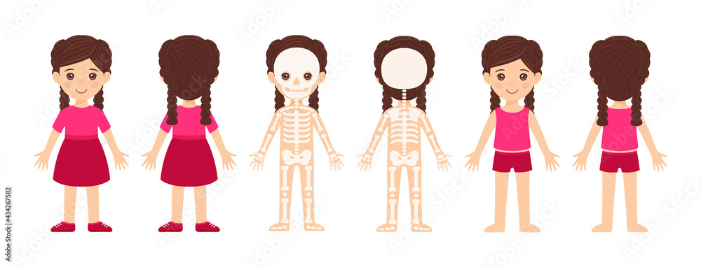 Set of Human body skeleton system. Isolated cute cartoon little girl ...