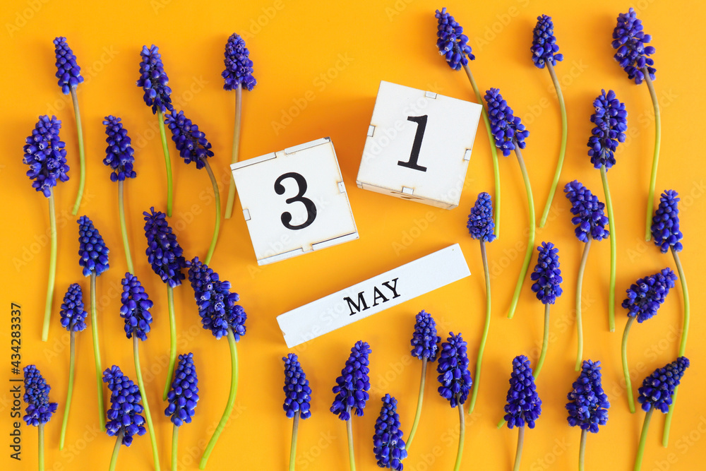 Calendar for May 31: cubes with the number 31, the name of the month of ...