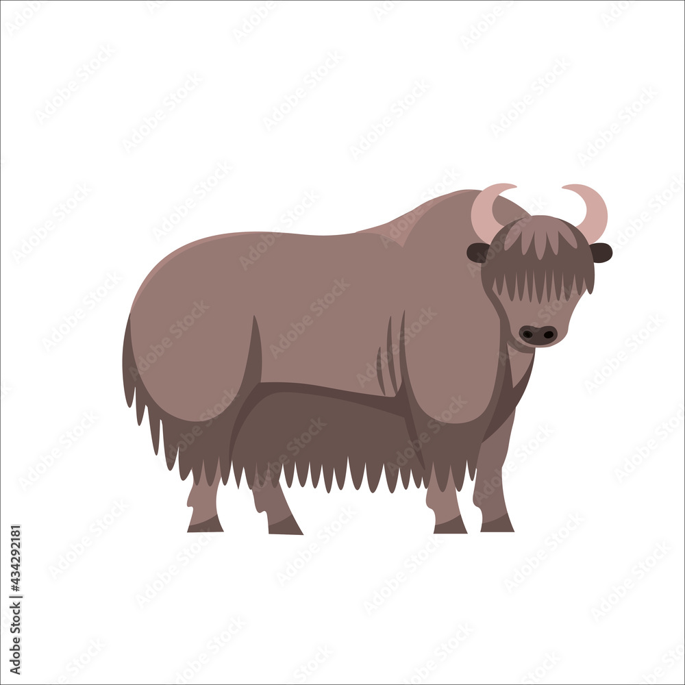 Cartoon yak on a white background.Flat cartoon illustration for kids ...