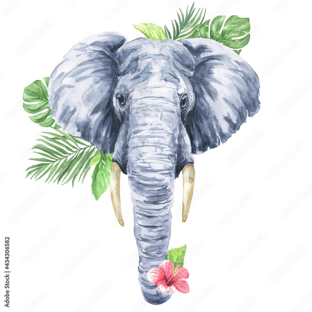 Watercolor Elephant Head