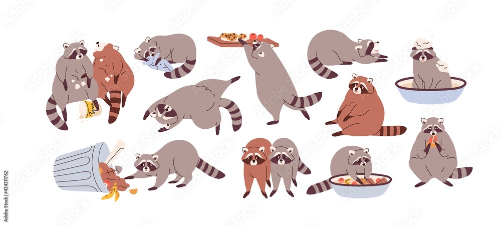 Cute funny raccoons set. Slow lazy racoon characters eating, overeating ...