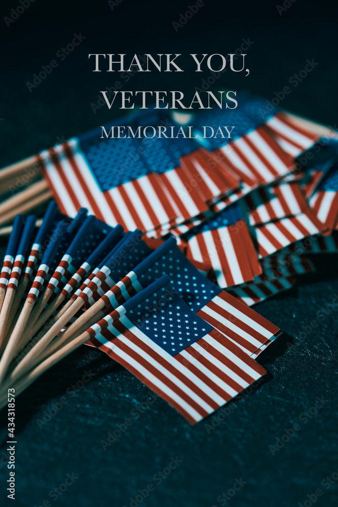 Memorial Day Thank You Veterans