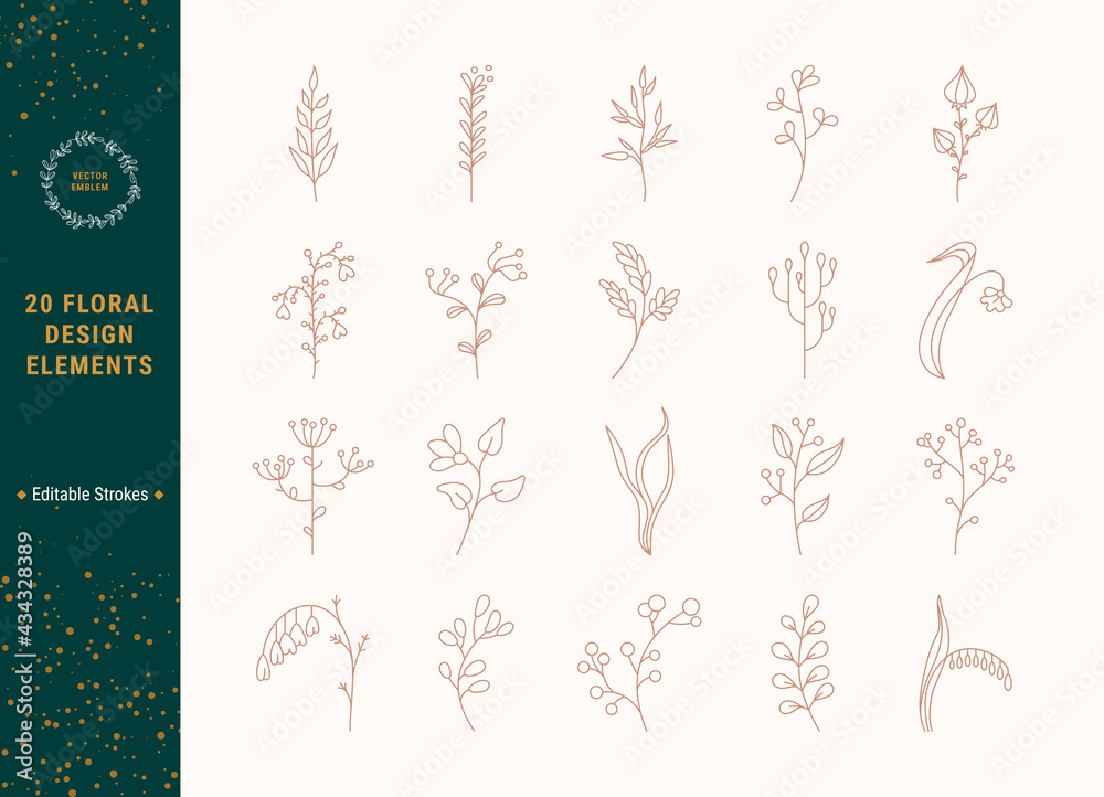 Floral thin line vector illustrations clip art collection. Botanical ...