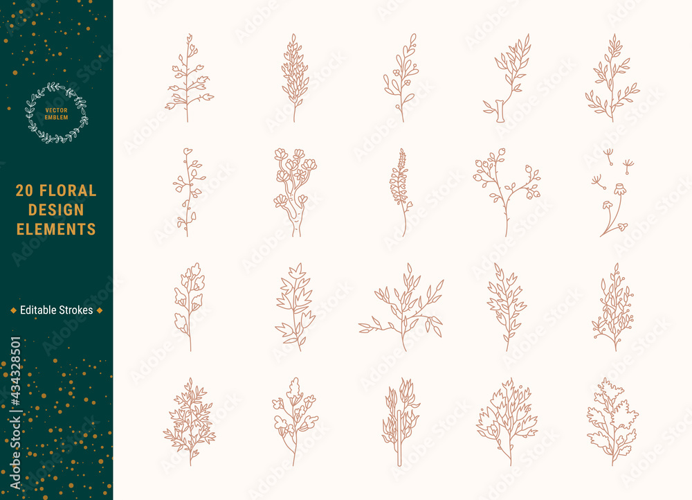 Floral thin line vector illustrations clip art collection. Botanical ...